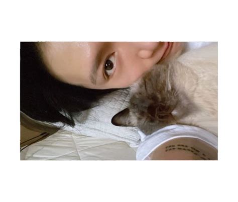 ⃕⠀ֵ♡᪻﹫ 𝖼𝗁ꪱ𝗍𝗍ᧉ᪾𝗇 ᵎ 📖̷ ͯ ͦ ͯ ͦ𝅄 ͜ ⠀꩝𝗇꯭᥉ᥣ꯭⃕ᥲ᥀꯭𝗋ᥲ꯭ֵ𝗆 יִ ֿ⠀ֵ ᵎ ͜͝ ⠀᭄ ♥︎̸ִ