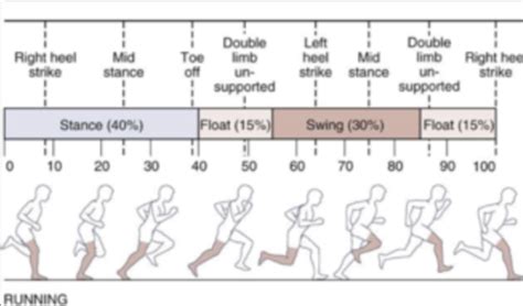 10 running analysis flashcards quizlet
