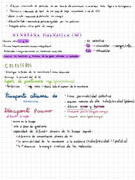 Apuntes Biología Celular 2504 Pdf Membrana Biológica Bicapa Lipídica