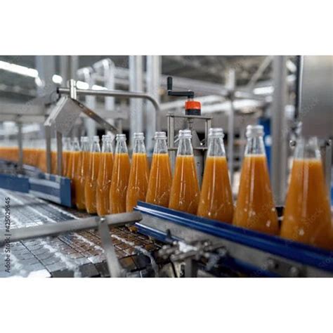 fruit pulp processing plant at best price in delhi techlogix machines
