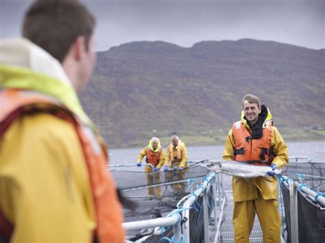 Bsi Sustainability On Linkedin Bsi Sustainability Innovation