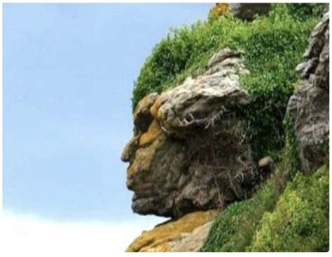 الباريدوليا Pareidolia Nature Pareidolia Images Paridolia