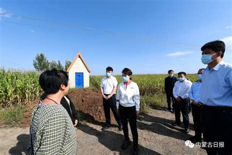 王莉霞在通辽调研：打通高标准农田建设“最后一公里”中国网