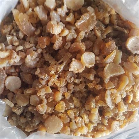 Ferula Assa Foetida Partak Mojarab