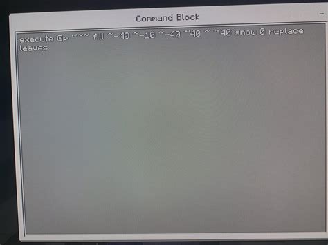 Cant Execute The Command No Matter What I Try It Doesnt Work R