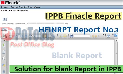 Ippb Finacle Report No3 Cash Management Detail Reporting Blank Report