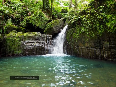 El Yunque Rain Forest Puerto Rico Natural Landmarks N