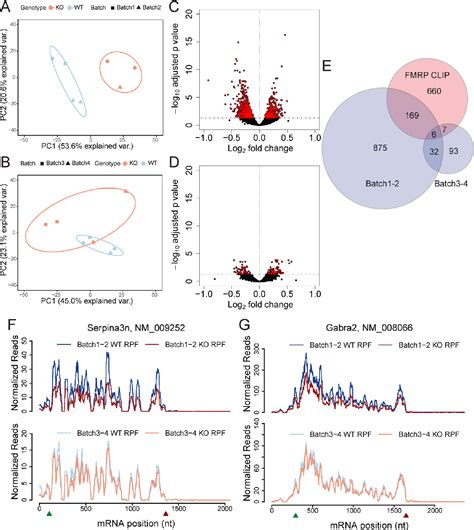 figure 1 from optimization of ribosome profiling using low input brain