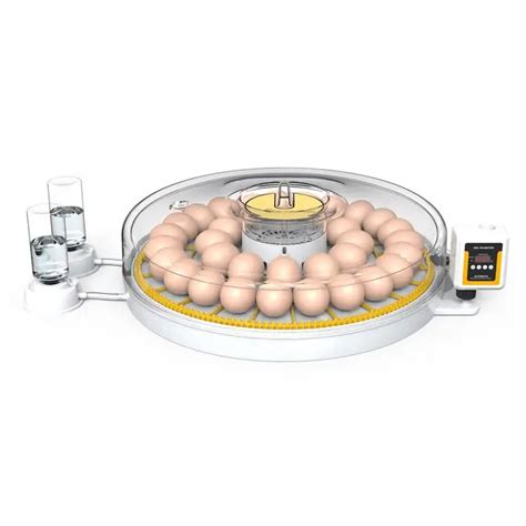 Dual Power 35 Egg Incubator And Hatcher Automatic High Quality Hatching