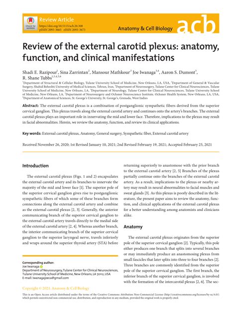 Pdf Review Of The External Carotid Plexus Anatomy Function And Clinical Manifestations
