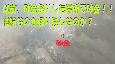 以前、砂金採りした場所で砂金！！供給なのか採り残しなのか？ Gold Dust Youtube