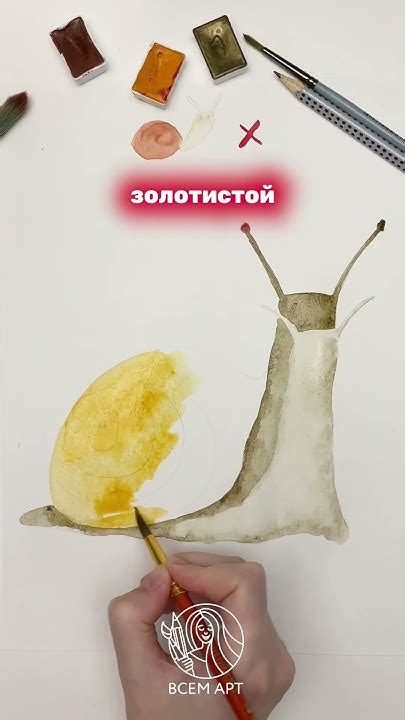 Как нарисовать улитку Короткие уроки рисования акварелью от Всем Арт