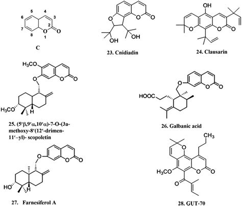 The Structure Of Coumarins That Can Inhibit P Gp C The Basic Download Scientific Diagram