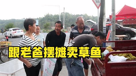 今天中秋节，大勇跟老爸去街上摆摊卖草鱼，14块钱一斤完全不愁卖 Youtube