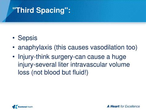 Ppt Fluids And Electrolytes Powerpoint Presentation Free Download Id 1784128