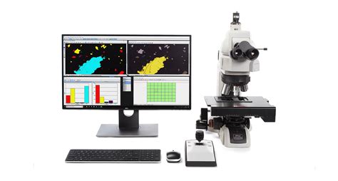 Image Analysis Solutions Image Analysis Software