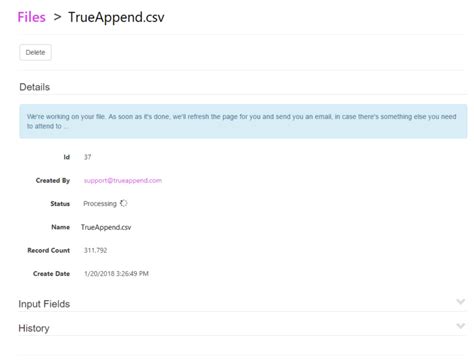 A Step By Step Guide To Processing A Data Append With Trueappend