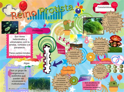 Ciencia Tecnología Y Ambiente En Santa Anita Reino Protista