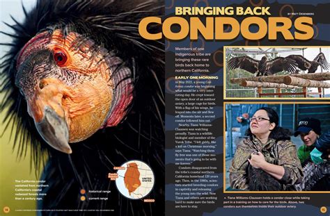 Endangered Species 5 Ways You Can Help Nwf Ranger Rick