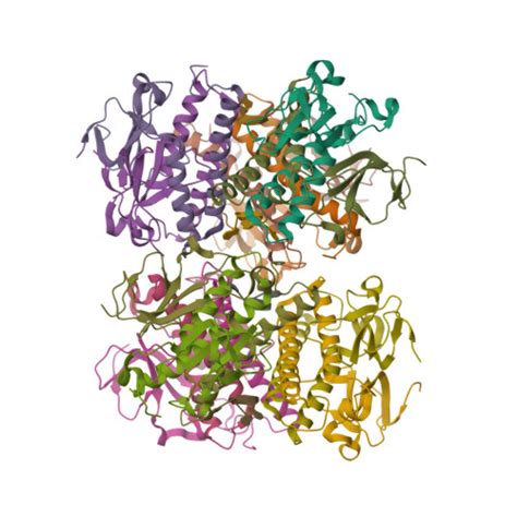 Rcsb Pdb 8kbd Structure Of Cmtad1 Complexed With Caag