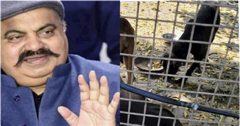 अतीक अहमद के खूंखार कुत्तों को नहीं मिल रहा खाना पानी 2 की मौत अब