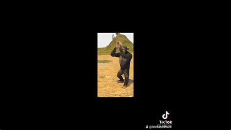 Mr Chizza Boy Ndjizera Youtube