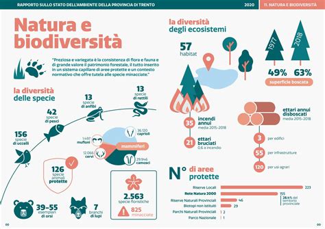 Calaméo 11 Natura E Biodiversit 1605622647