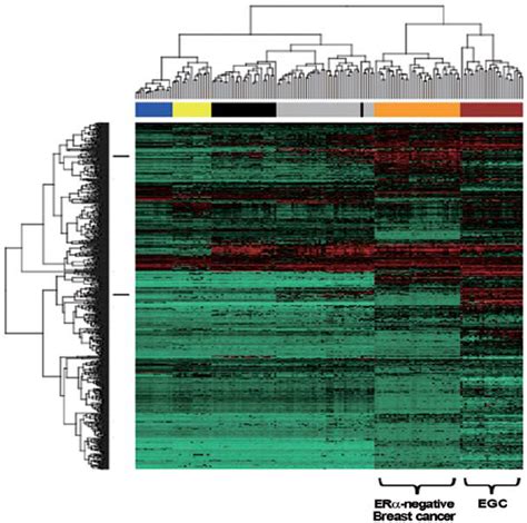Hierarchical Clustering Genes Up Or Downregulated In Egc As Well As 5