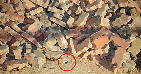 연천 면사무소 앞마당 선명한 총탄자국