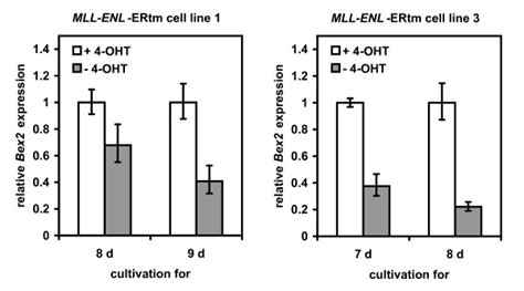 Mll Fusion Proteins Regulate Bex2 Expression In Presence Of 4 Oht 100