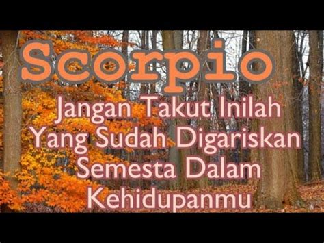 Scorpiojangan Takut Inilah Yang Sudah Digariskan Semesta Dalam Kehidupanmu Youtube