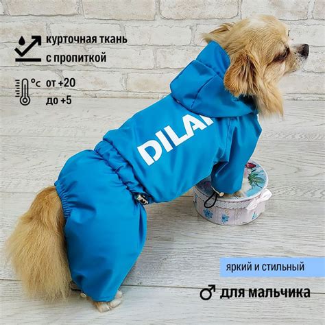 Дождевик для собаки (для мальчика) "Dilai" WIND костюм с капюшоном ...