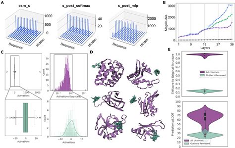 Tokenized And Continuous Embedding Compressions Of Protein Sequence And Structure Patterns