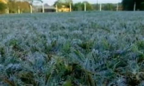 Rajadas De Vento De Quase 100 Kmh Atingem Litoral De Santa Catarina
