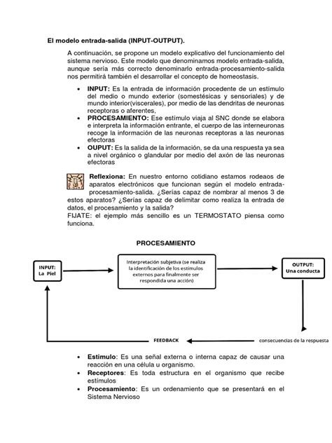 Modelo Input Output Pdf