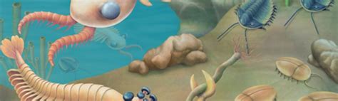 A Billion Year Old Multicellular Fossil Has Been Found Whitley