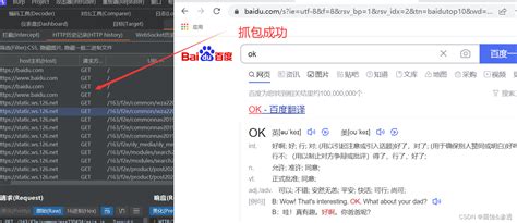 Chrome浏览器您的连接不是私密连接，burp抓包burp私密链接 Csdn博客