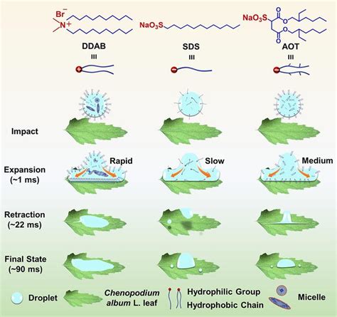 （219）中国农业大学 杜凤沛教授团队：双链阳离子表面活性剂调节疏水性杂草叶片的液滴冲击和润湿行为 知乎