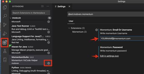 integrate momentum suite automate with vs code extension momentum suite
