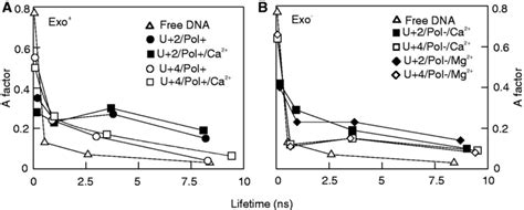 Graphical Representation Of The Ap Fluorescence Decay Parameters