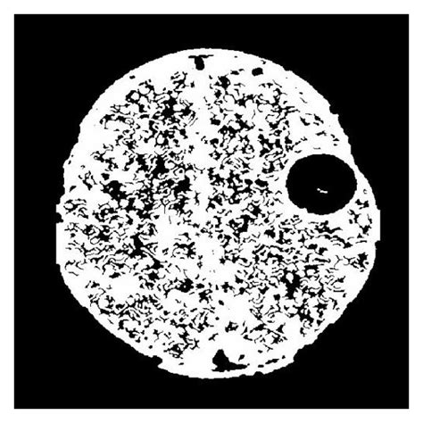 Manually Segmented Mri Brain Tissues A Wm B Gm C Csf D
