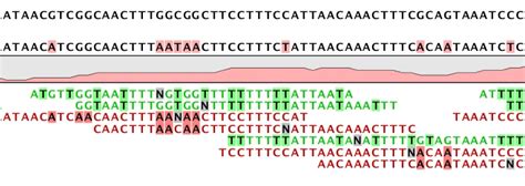 Enterobacteria Phage Lambda