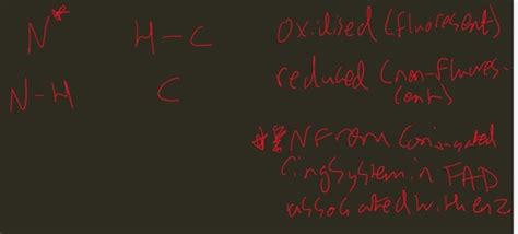 Examples Of Inhibtion Pre Steady State And Single Molecule Assays Flashcards Quizlet