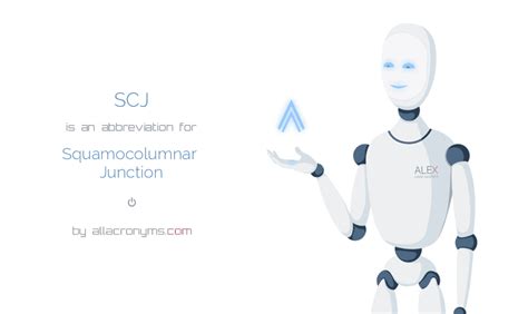 Scj Squamocolumnar Junction