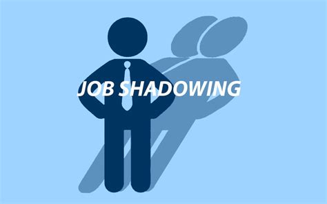 Job Shadowing Mentordino