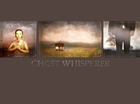 Ghost Whisperer Ghost Whisperer Wallpaper 31000643 Fanpop