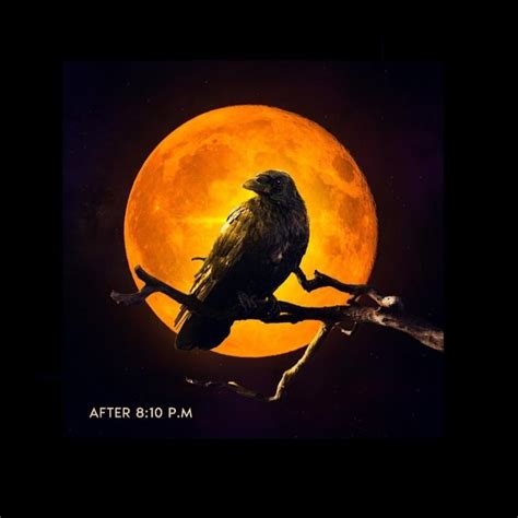 After 810 Pm Eugene Roberts Iii