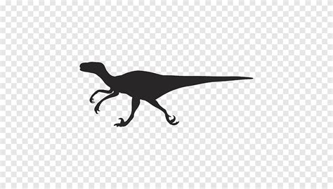 ไดโนเสาร์ Velociraptor Deinonychus Troodon ไดโนเสาร์ ดำและขาว Deinonychus Png Pngegg