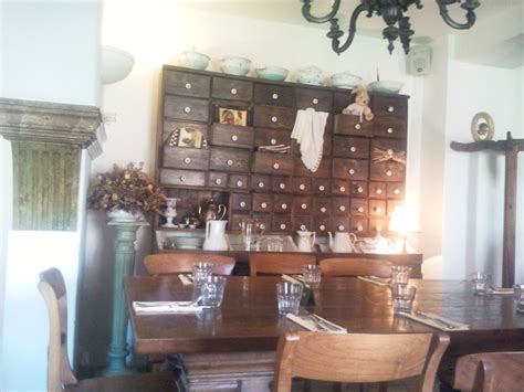 Kisa Má Blog V Polích