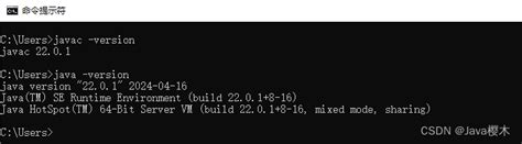 Java 最新开发工具包 Jdk22 安装教程java22安装 Csdn博客